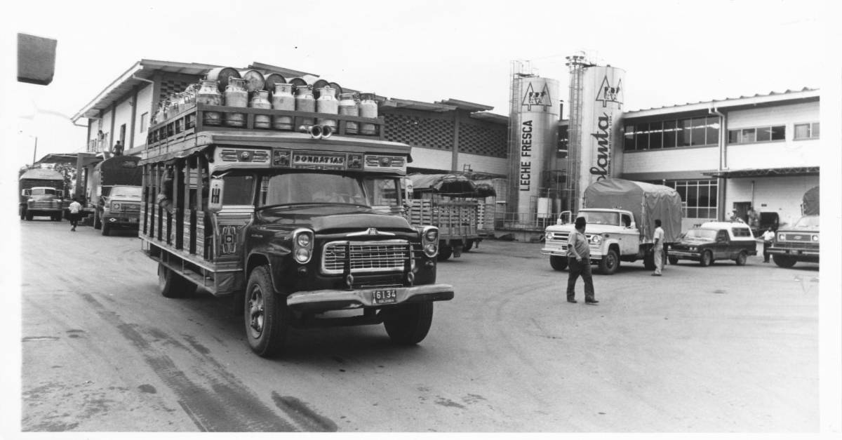 Colanta empoderó a los campesinos lecheros