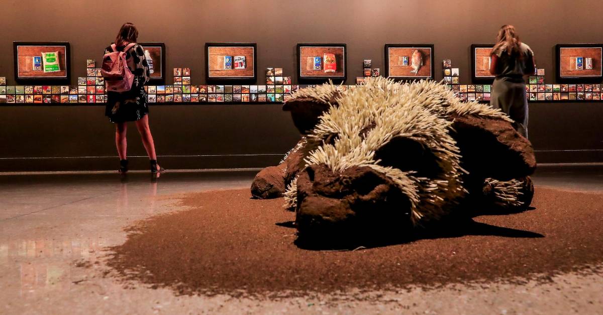 Recorrer fragmentos del mundo en la exposición del Museo de Antioquia