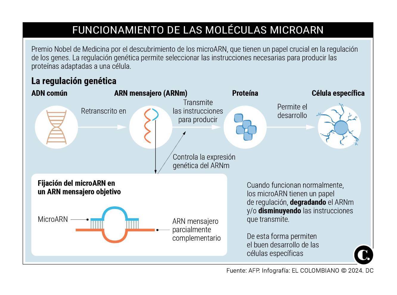 Nobel de Medicina por el microARN, posible clave para curar grandes males