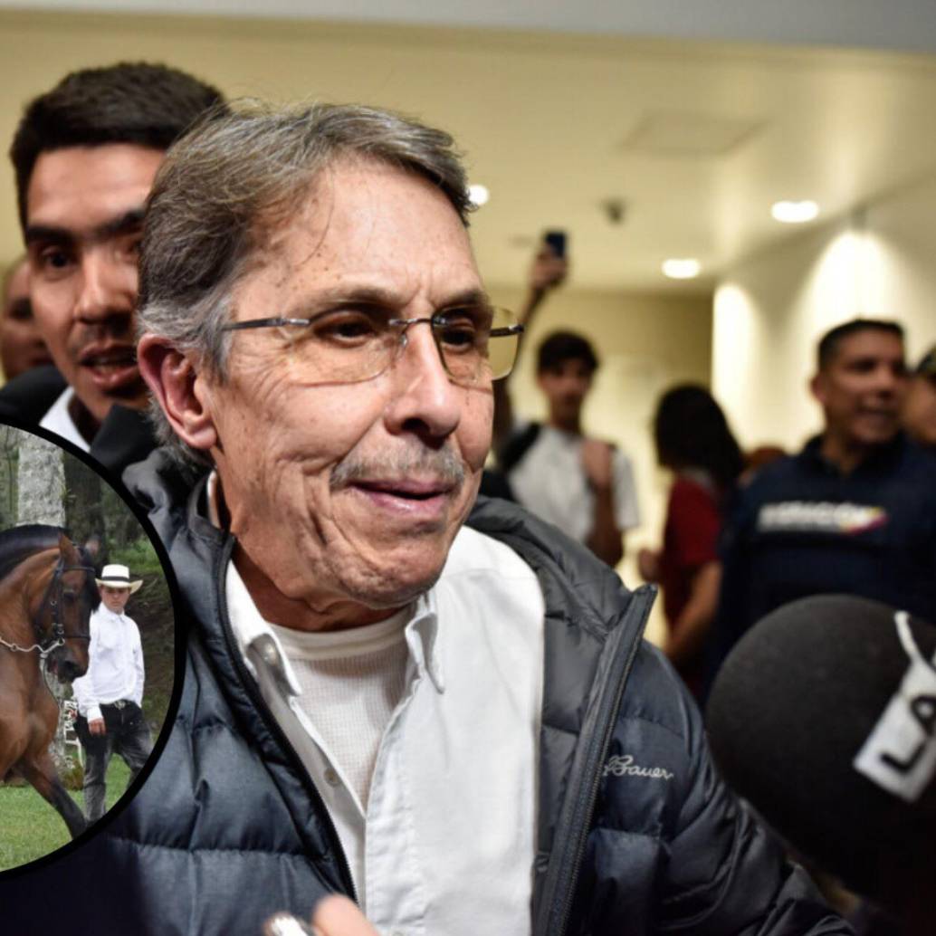 David Alonso, el piloto campeón que nació en España y puso a Colombia ...