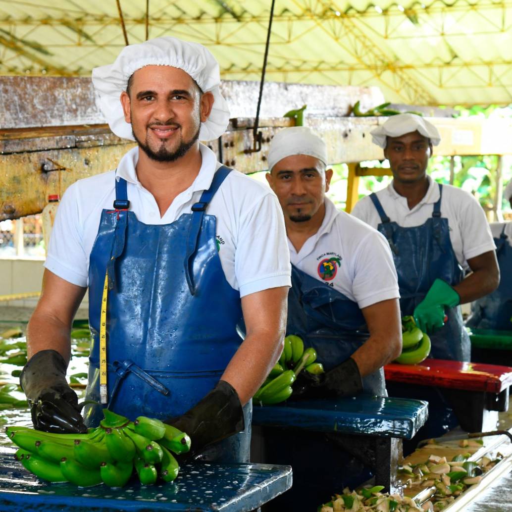 El Colombiano | noticias de Medellín, Antioquia, Colombia y el mundo.
