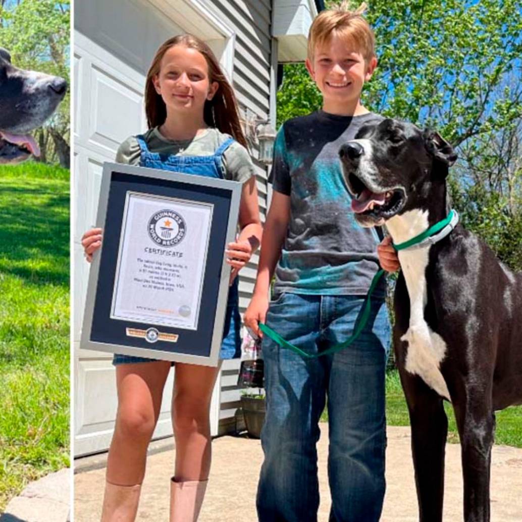 De la mina San Ramón ya se extrae oro