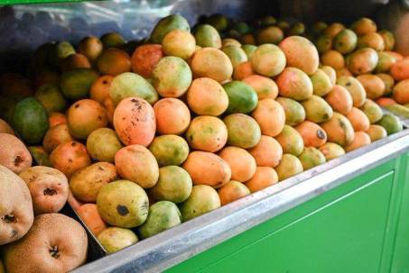 ¡Histórico! Por primera vez, Colombia exporta mango de azúcar a Estados ...