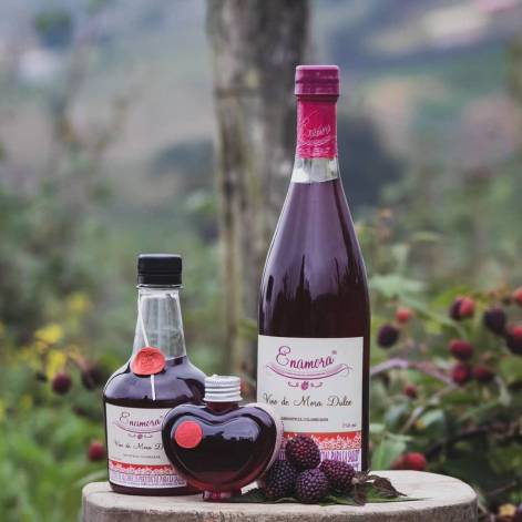 Ruta vinícola en Colombia: conozca la diversidad de vinos del país
