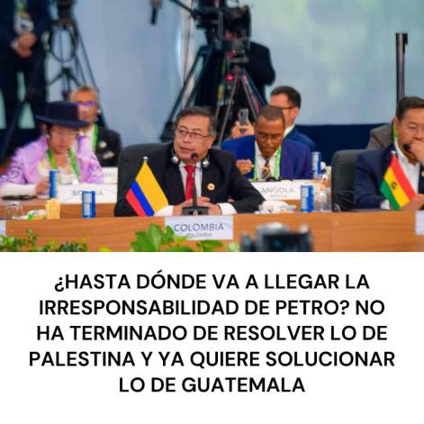 2024 en memes: estos son los más graciosos, ¿cuál es su favorito?