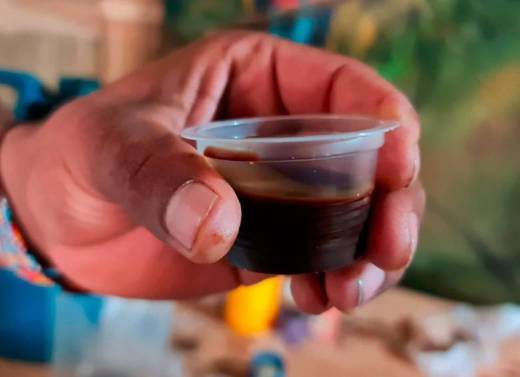 Beber yagé o ayahuasca: ¿qué tan segura es esta práctica ancestral?