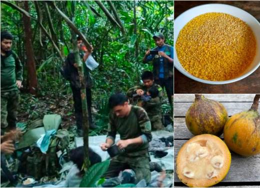 ¿De qué se alimentaron los niños en la selva? La fariña y los frutos ...