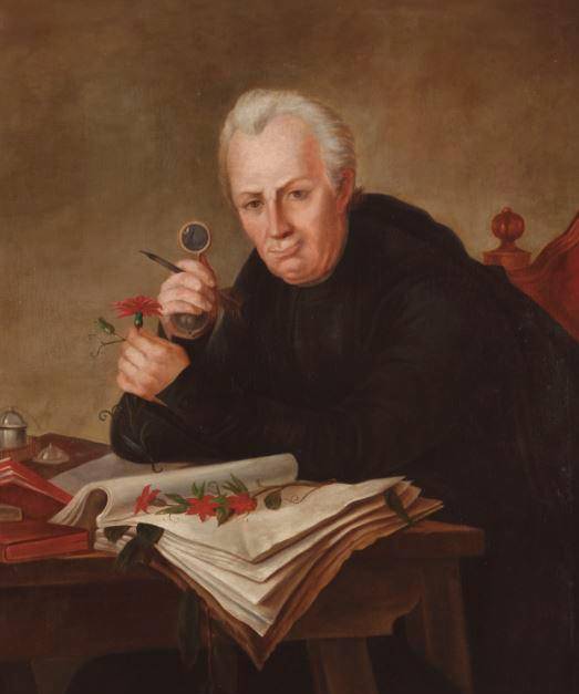 ¿Quién era José Celestino Mutis?