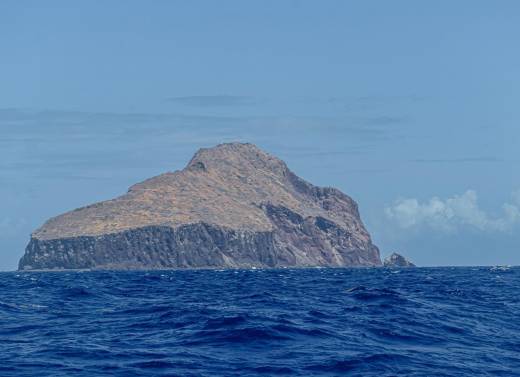 El milagro de la Isla Redonda: de paisaje desolado a santuario silvestre