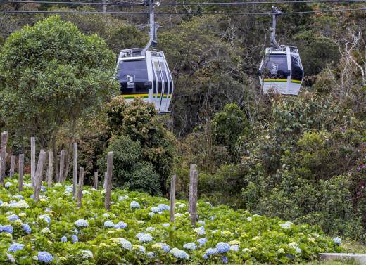 El Metrocable tendrá hasta 75% de descuento para subir al Parque Arví ...