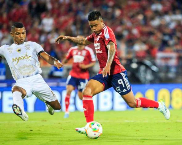 DIM domina a su antojo la Liga Betplay y la Liga Femenina: cifras de ...