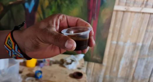 A la cárcel por la ayahuasca: curandero colombiano terminó preso dos ...