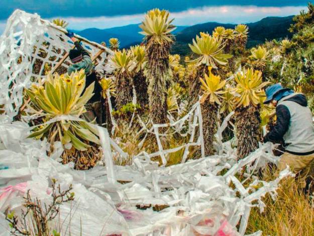 Antioquia empieza a cerrarle el paso al turismo depredador. ¿Se ...