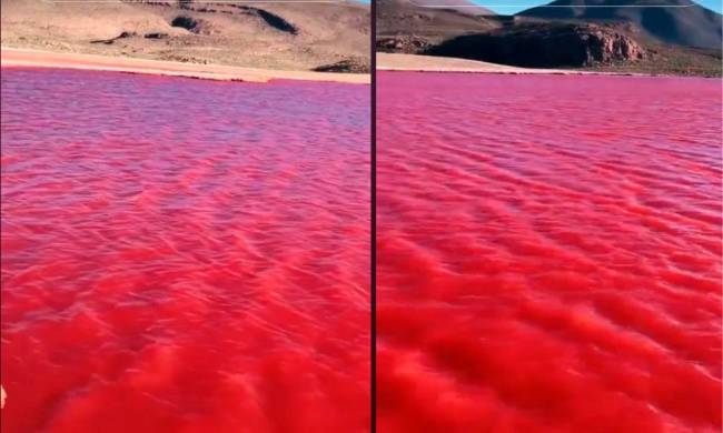 ¿Por qué el río Nilo se tiñó de rojo en Egipto?