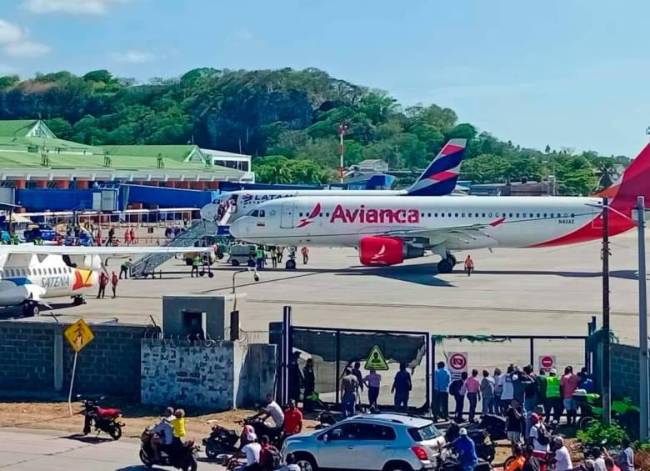 2.500 aviones se han chocado con aves en los últimos 5 años