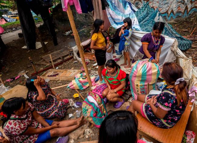 Comenzó el retorno de 845 indígenas embera katío a Chocó