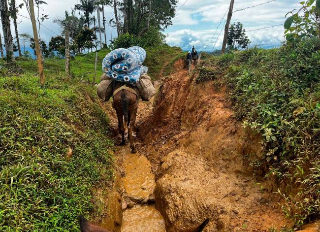 Mandé: la comunidad negra de Urrao que después de la guerra se resiste ...