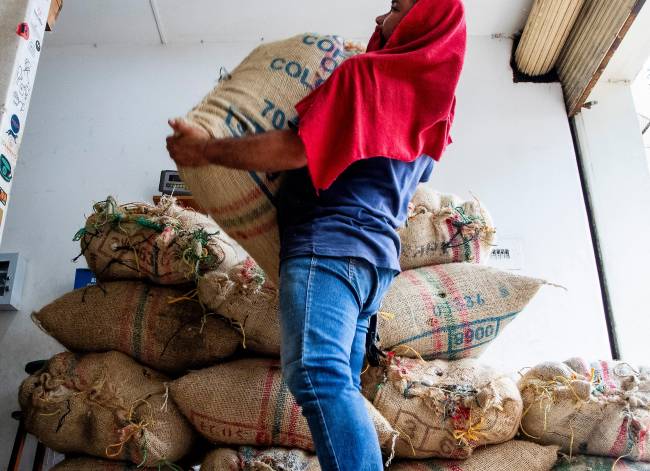 El precio interno del café por carga llegó a su nivel más bajo desde ...