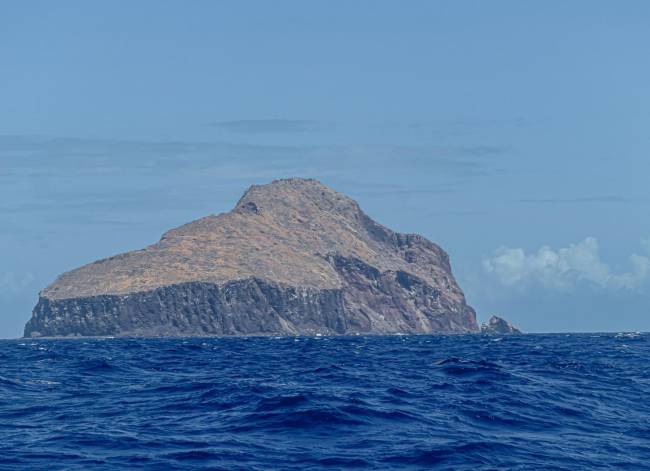 El milagro de la Isla Redonda: de paisaje desolado a santuario silvestre