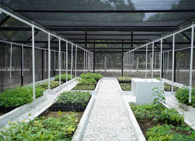 GreenYellow Colombia inaugura vivero bioclimático automatizado que ...