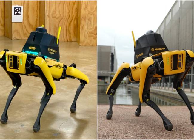 Yellow, el perro robot con IA que protegerá a los invitados de Shakira ...