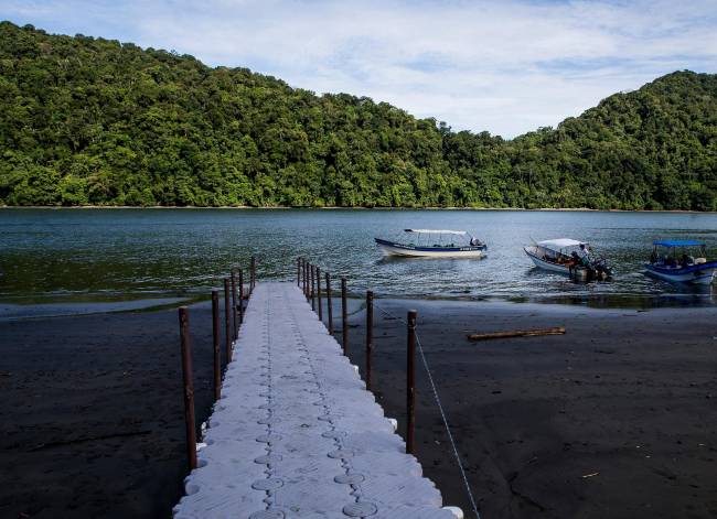 Se tomaron el Parque Nacional Utría en Chocó y disponen lotes para ...
