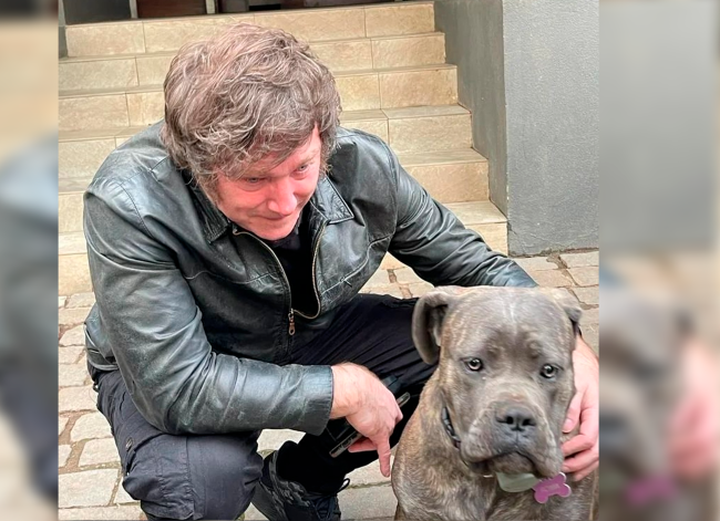 ¿Cuántos perros dice tener Milei? Crecen en Argentina cuestionamientos ...