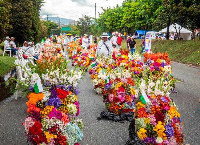 Se acerca el Desfile de Silleteros: guía para identificar los tipos de ...