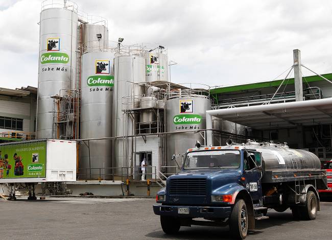 Colanta aumentó 10,1% sus ventas en 2024, ¿cómo lo logró?