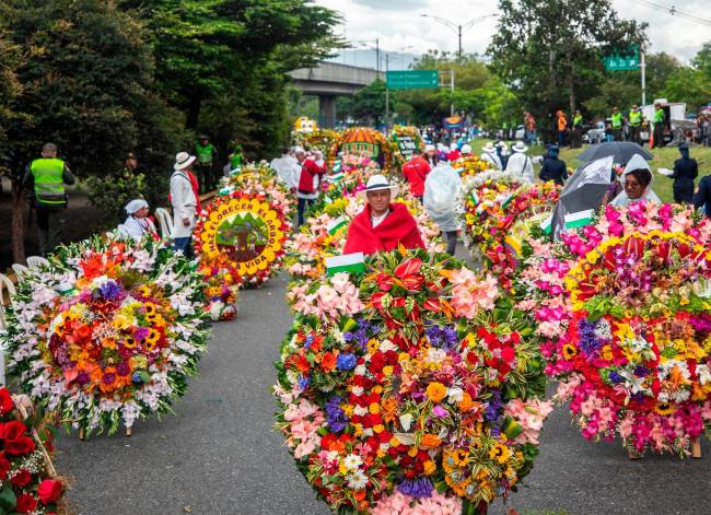 Se acerca el Desfile de Silleteros: guía para identificar los tipos de ...