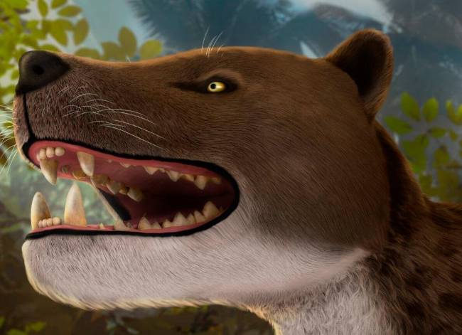 El rey del desierto: nuevo gran carnívoro de hace 30 millones de años ...