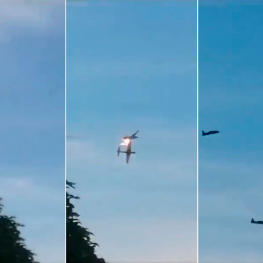 La colombiana que salva felinos en el país arrasado por un volcán