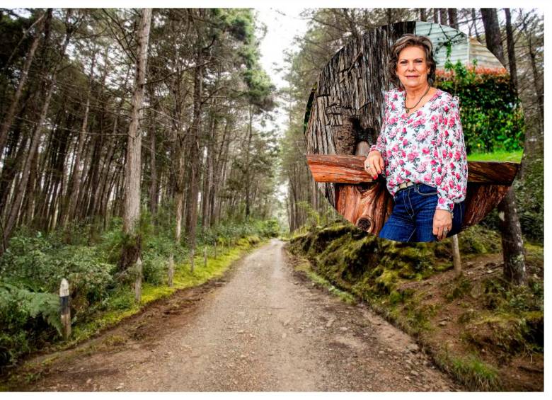 Relevo en la dirección del Arví: Beatriz Araque sale después de 12 años ...