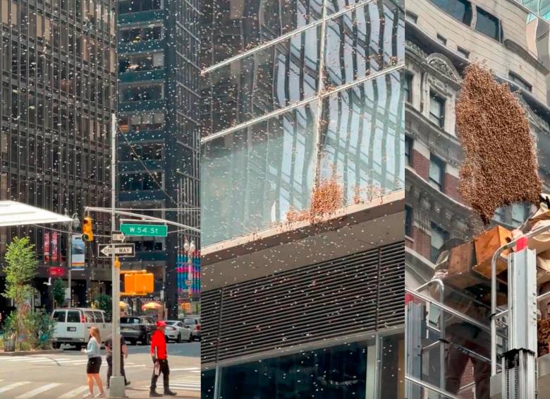 Video | Una nube de abejas que se posó en el Times Square generó pánico en Nueva York