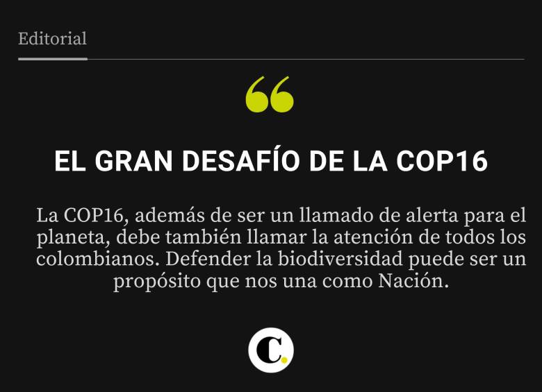 El gran desafío de la COP16