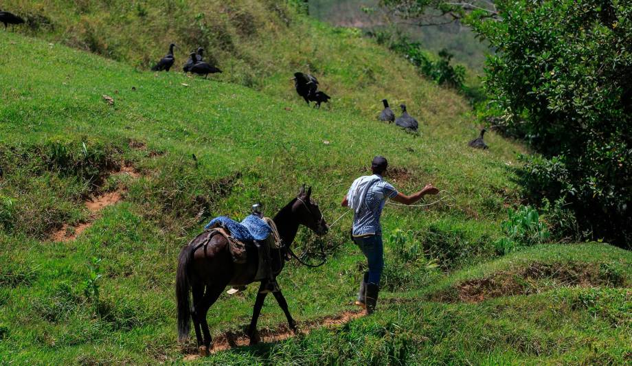 En fotos: 43 municipios llevan sus residuos al relleno La Pradera que ...