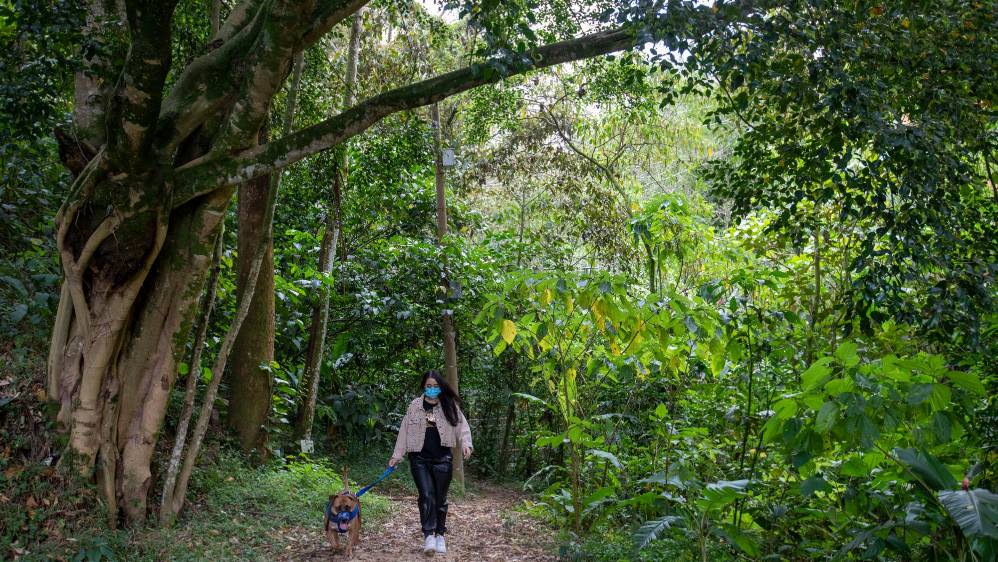 Los parques urbanos y naturales son espacios para soñar y disfrutar
