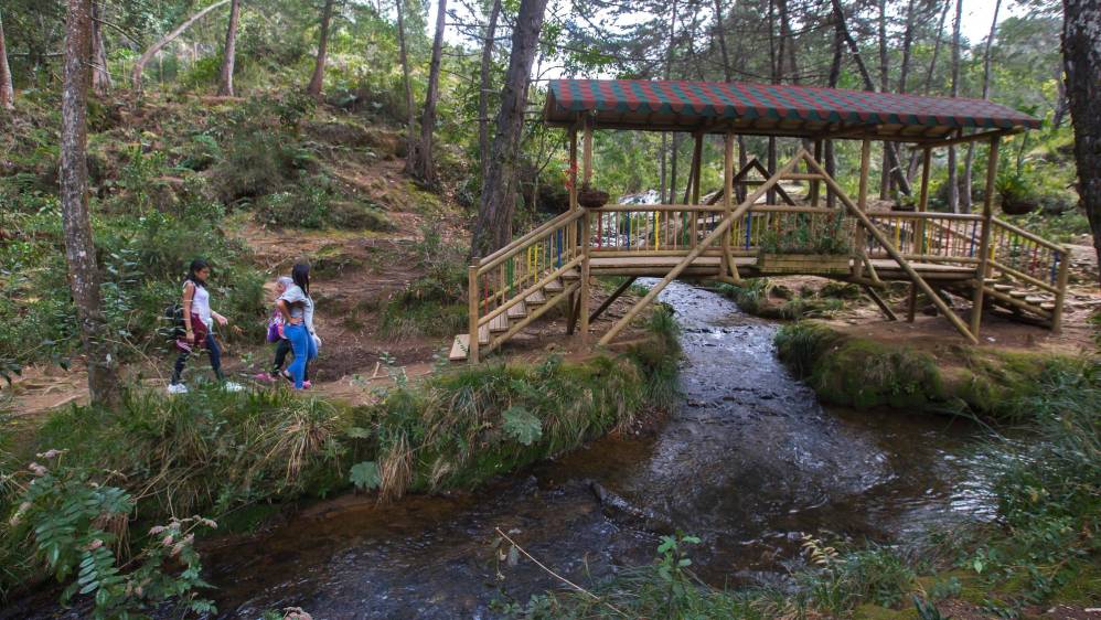 El Parque Arví está de cumpleaños