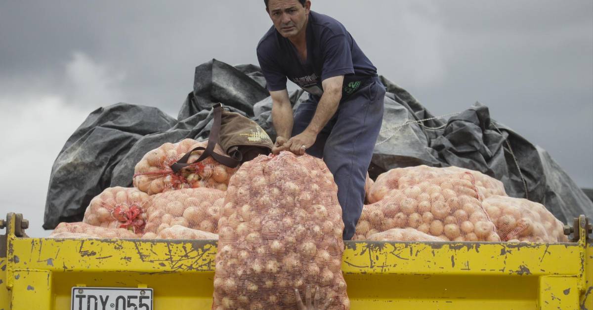 En Colombia Se Desperdician Cada Año Un Millón Y Medio De Toneladas De