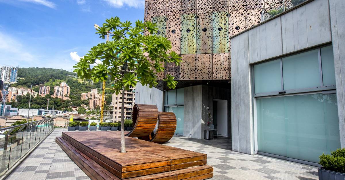 Los 40 años del Mamm se celebran intensamente