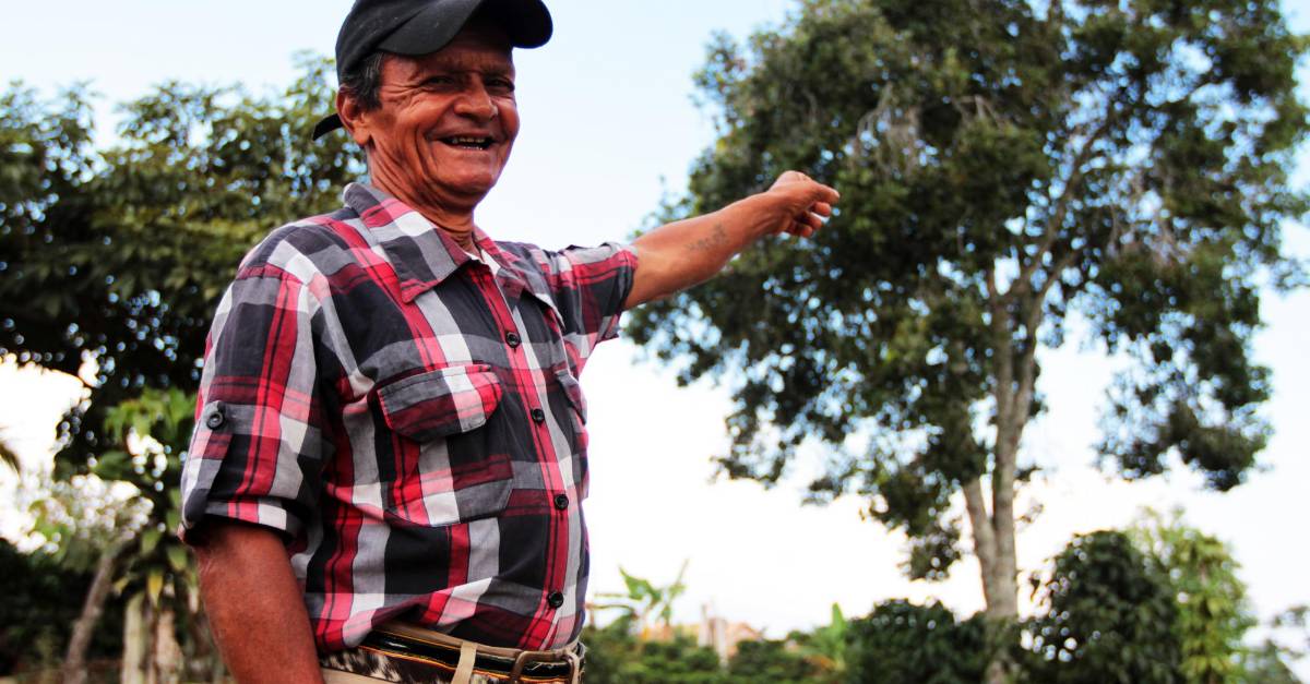 El guardián del comino crespo