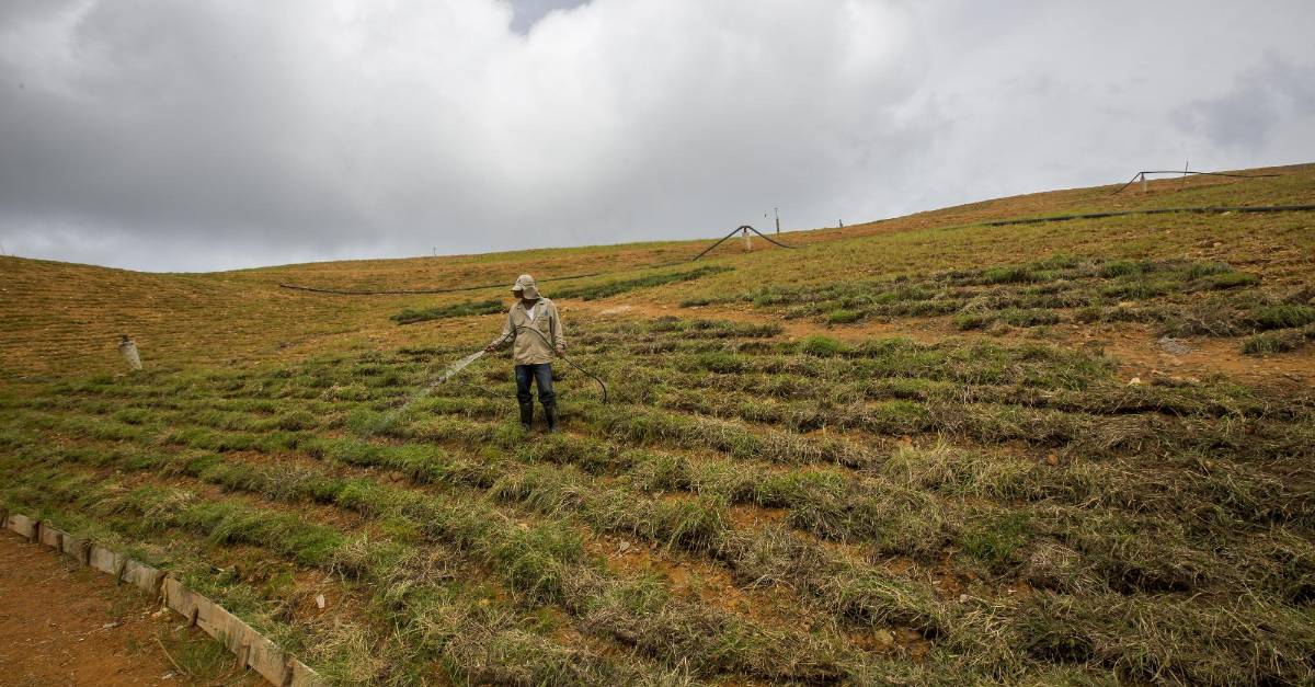 El Guacal: alternativa llena de polémica