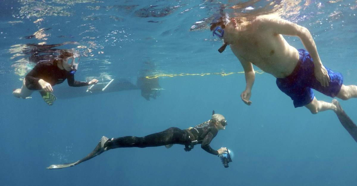 Así es una excursión de buceo con tiburones en Hawái