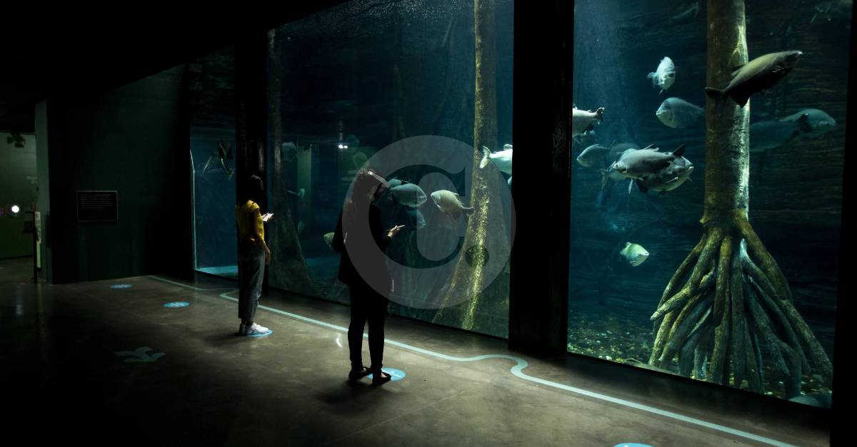 El Parque Explora reabrirá sus puertas desde el 1 de julio