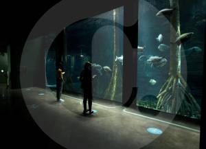 La ciencia del Explora podrá redescubrirse