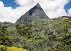 El guiño de Venecia a Comfama para que invierta en Cerro Tusa