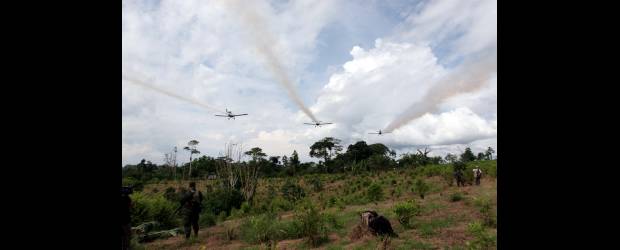 Colombia asume el costo de fumigaciones