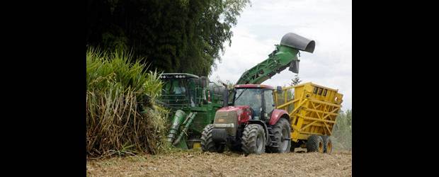 Ingenio Riopaila invierte en planta para producir etanol