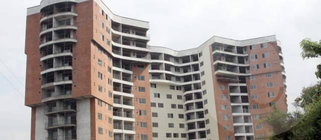 Son los dueños de un sueño sin cumplir: le compraron a Monarca