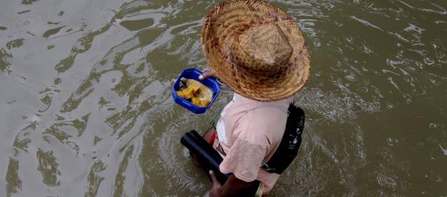 40 mil afectados por lluvias en Chocó